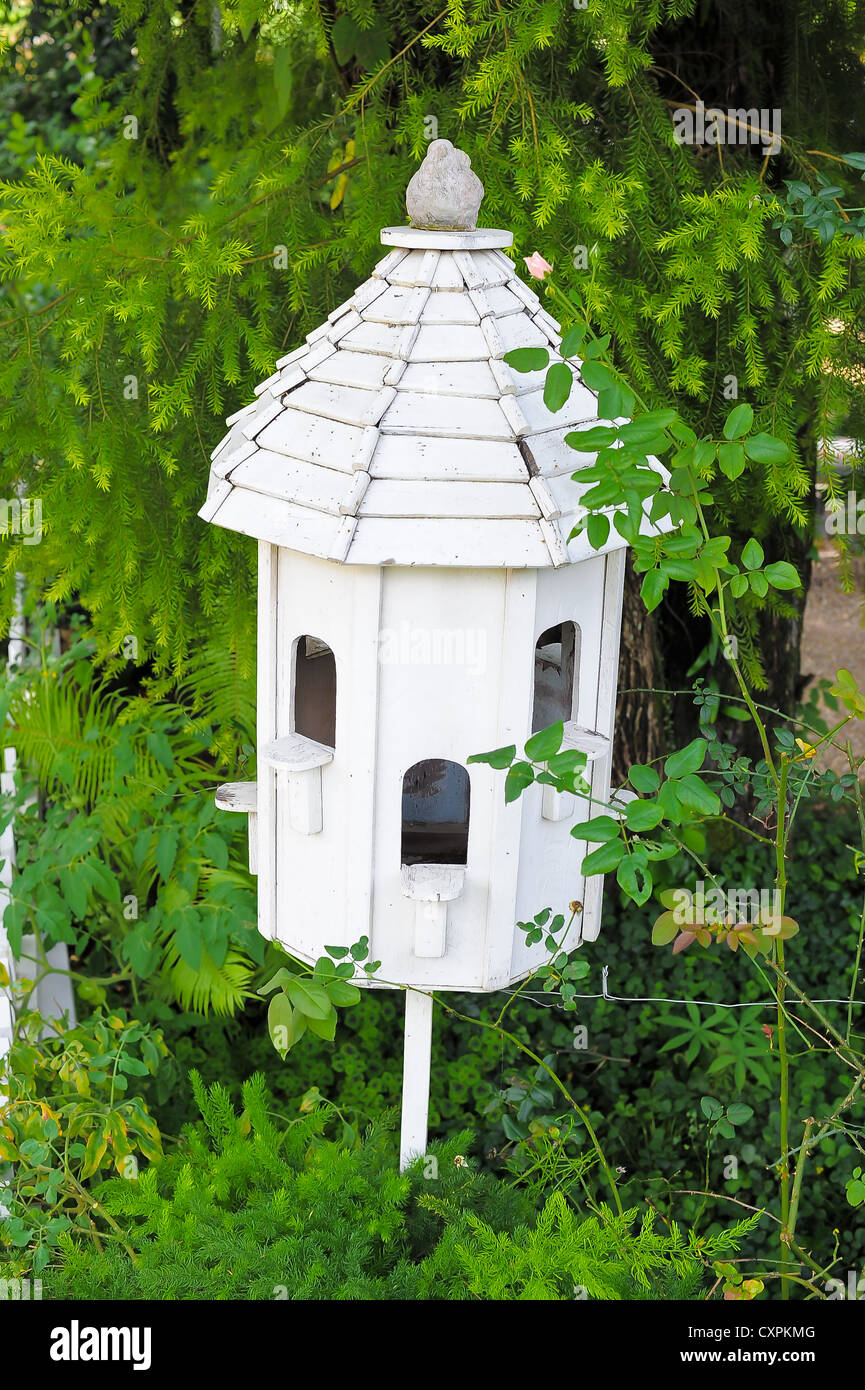 Birdhouse love hi-res stock photography and images - Alamy