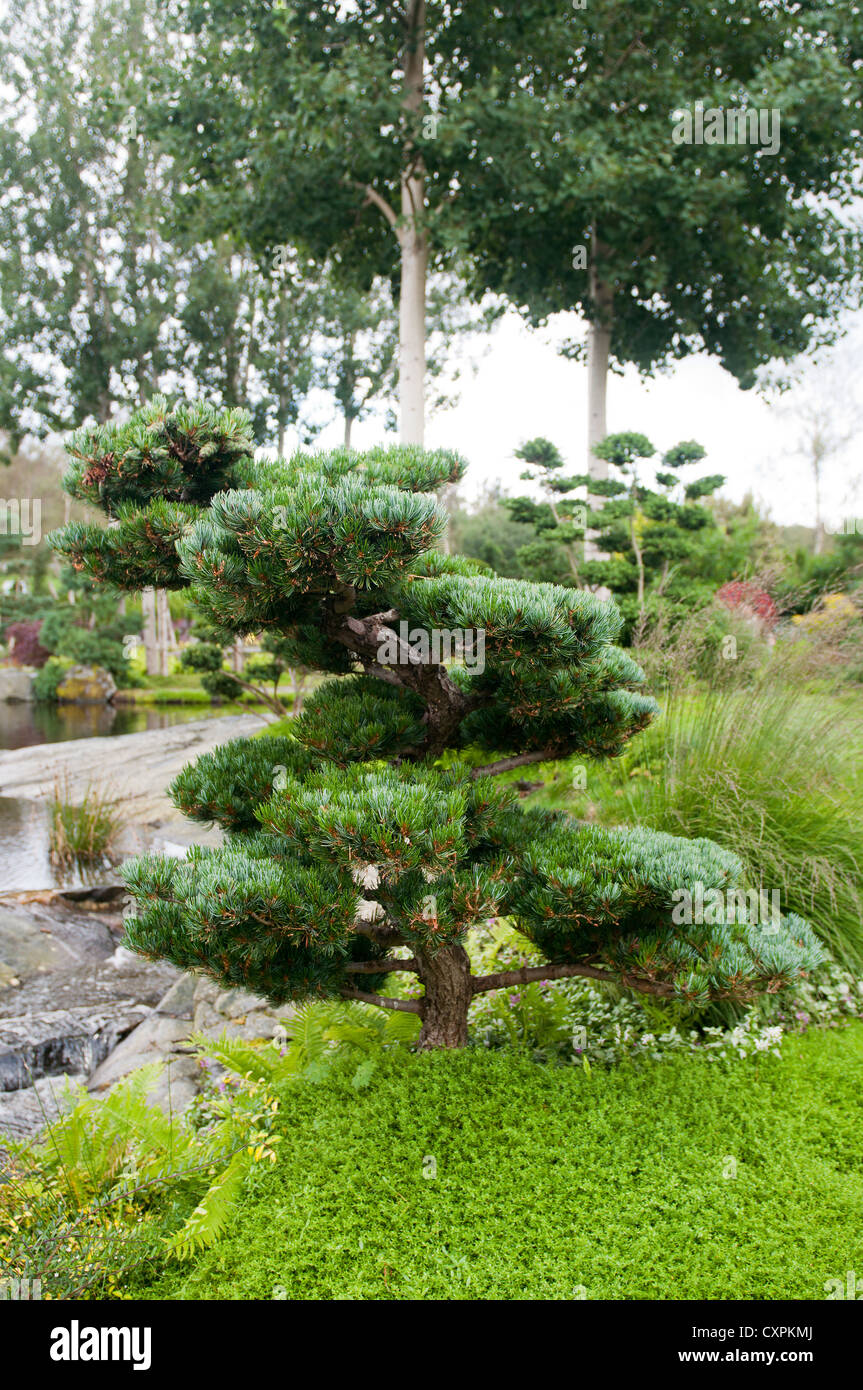 Flor & fjaere hi-res stock photography and images - Alamy