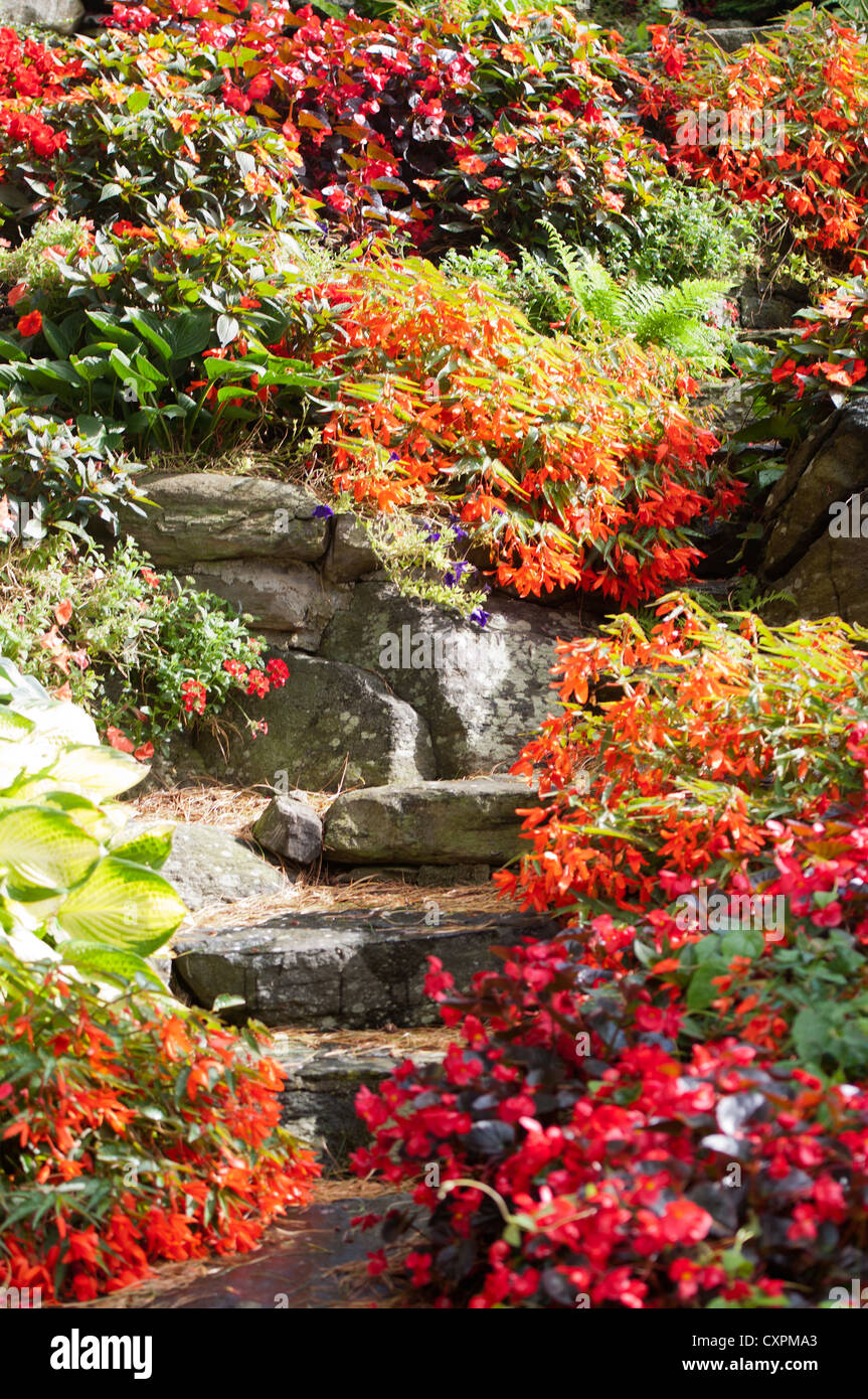 Flor & fjaere hi-res stock photography and images - Alamy