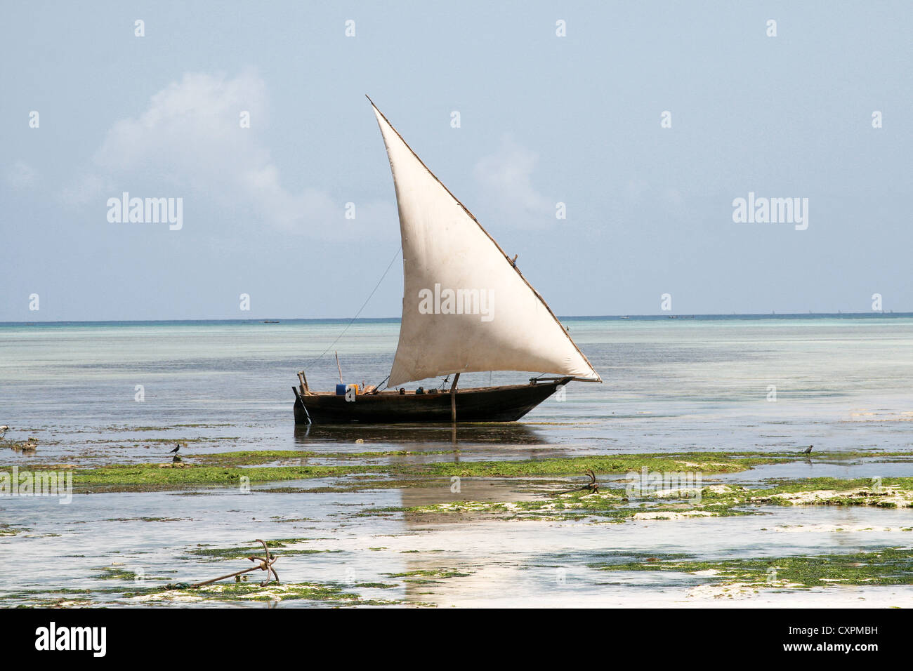 Traditional boat of Zanzibar Island Stock Photo - Alamy