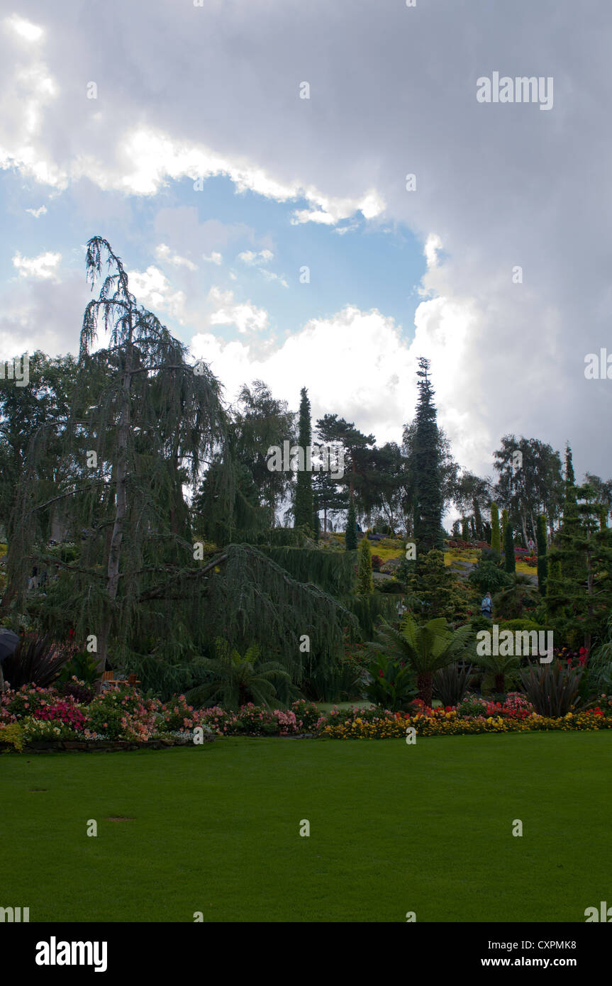 Flor & fjaere hi-res stock photography and images - Alamy