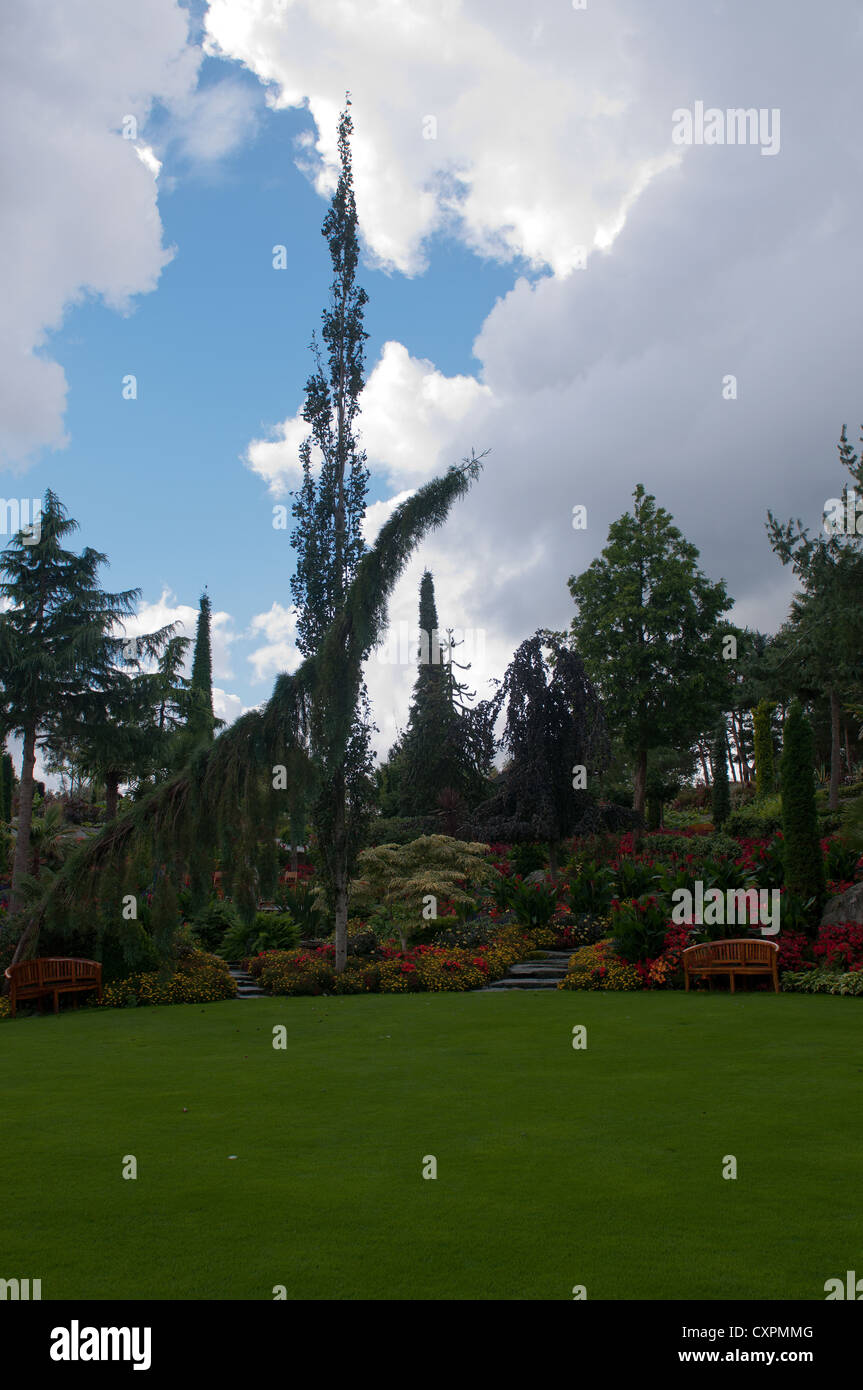 Flor & fjaere hi-res stock photography and images - Alamy