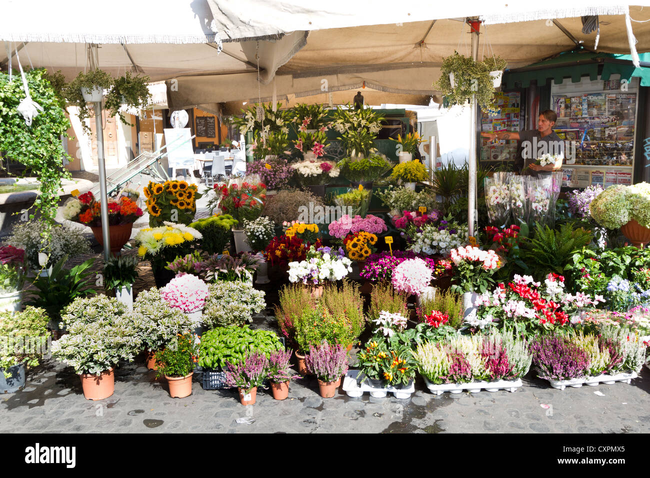 Flowers in rome italy hi-res stock photography and images - Alamy