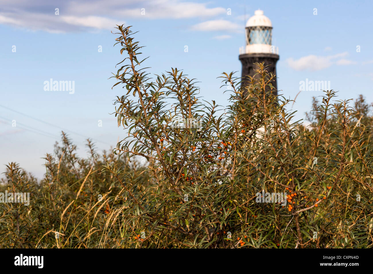 Spurn head lighthouse wild hi-res stock photography and images - Alamy