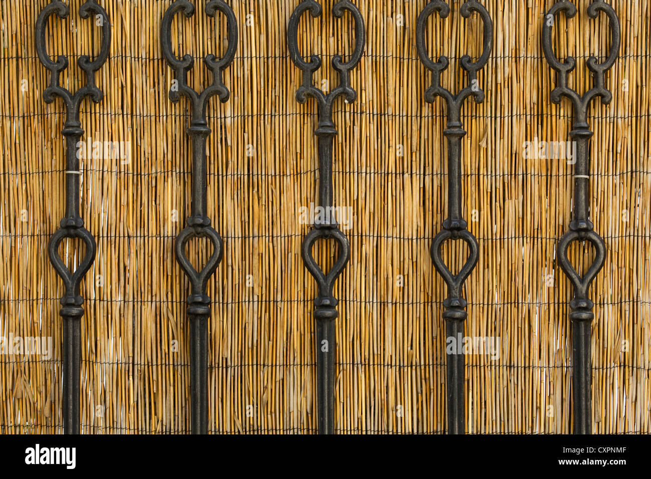 Bambusoideae pattern High Resolution Stock Photography and Images - Alamy