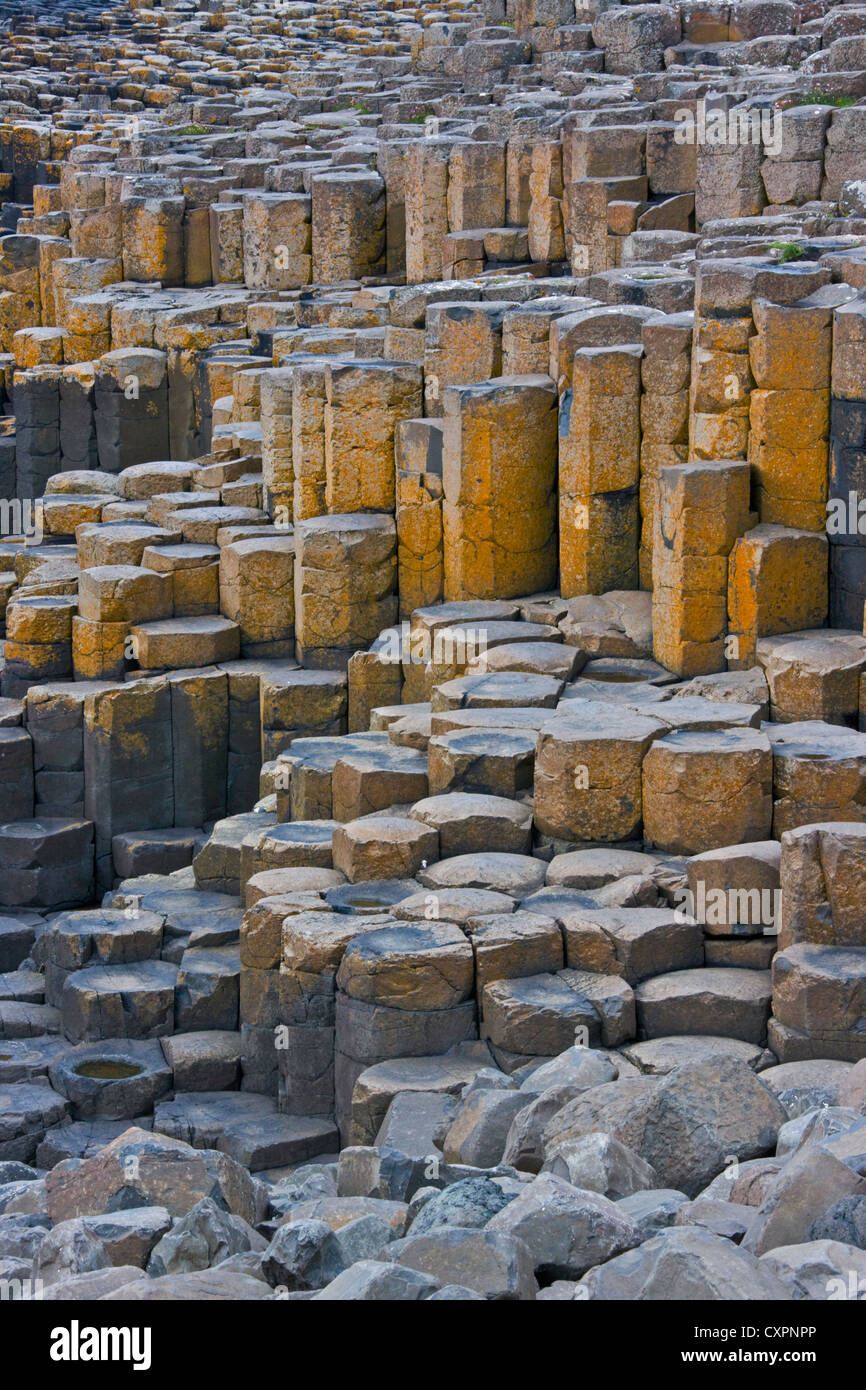 Basalt Rock Formation, Giant's Causeway, County Antrim, Northern ...