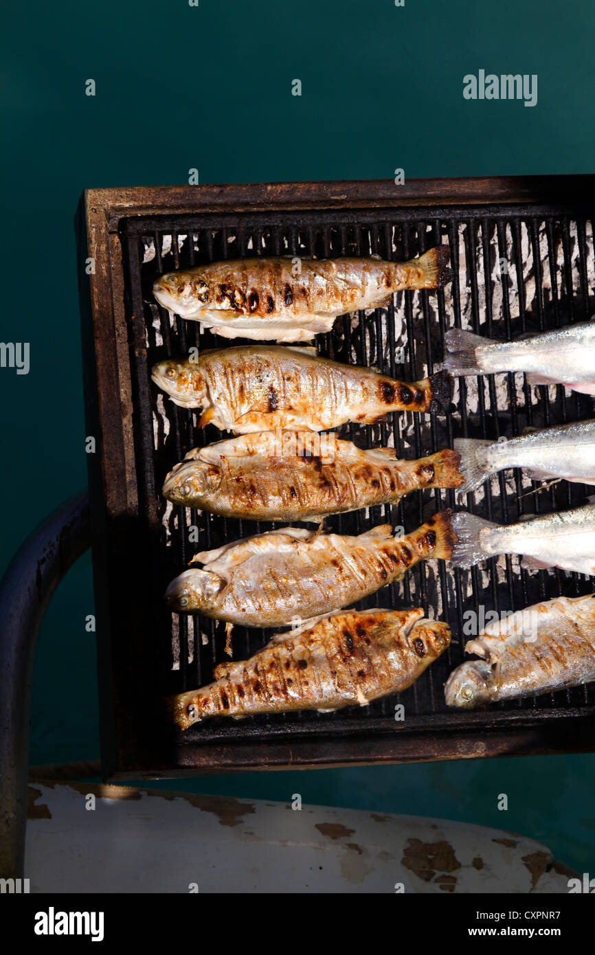 Fish on the barbecue on a sightseeing boat in Butterfly Valley, Turkey ...
