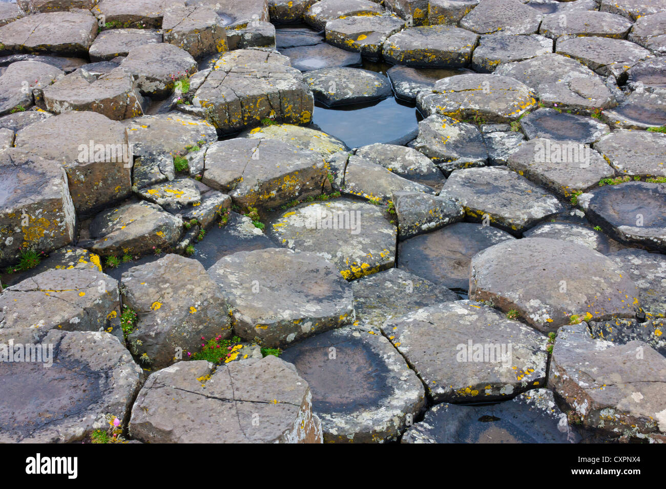 Basalt Rock Formation, Giant's Causeway, County Antrim, Northern ...