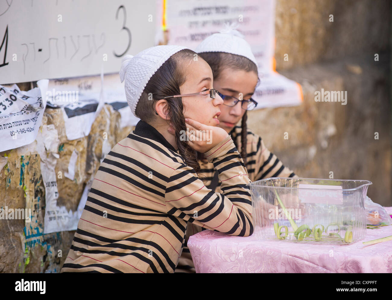 An ultra-orthodox Jewish children sells Lulav's ring in the Four ...