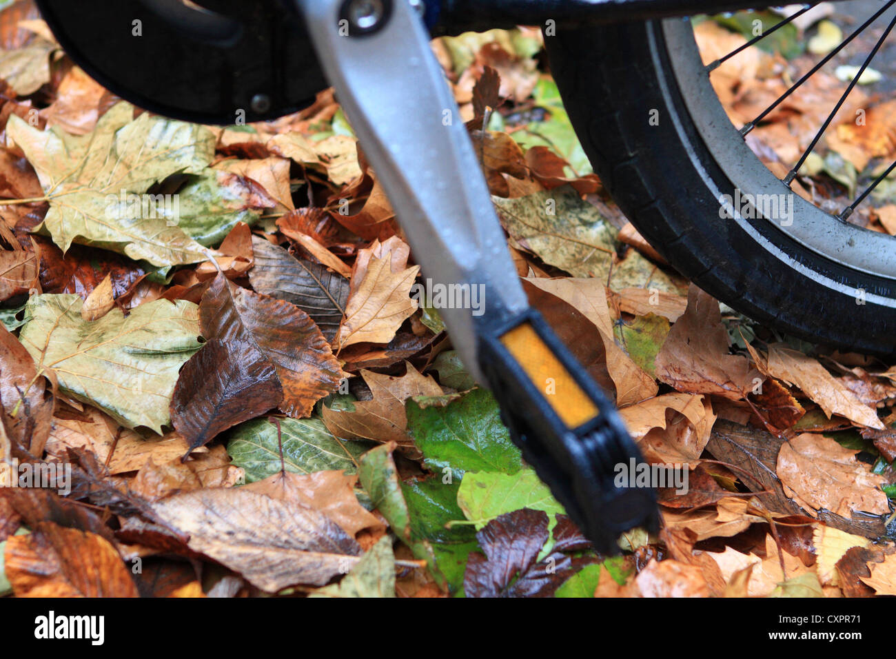 The wheel of a Boris Bike parked amongst autumn leaves Stock Photo - Alamy