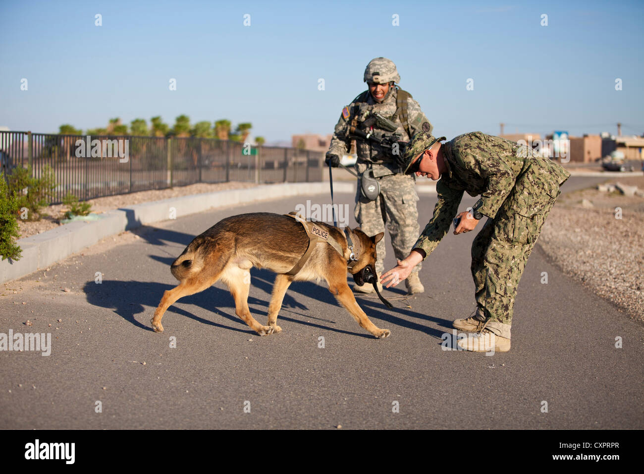 Weapon detection dog hi-res stock photography and images - Alamy