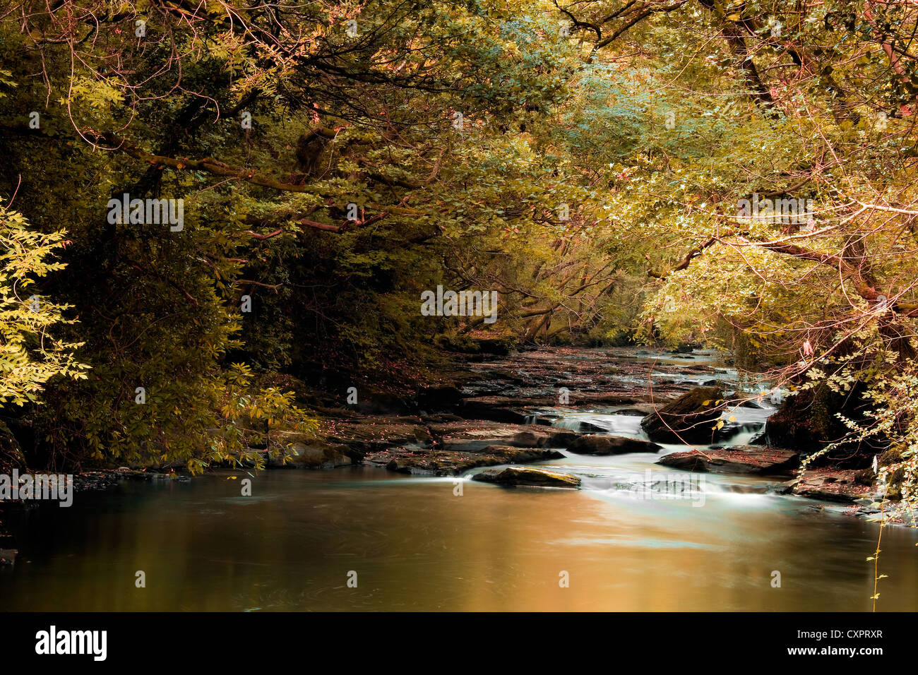 Aberdulais falls sceneries Stock Photo - Alamy