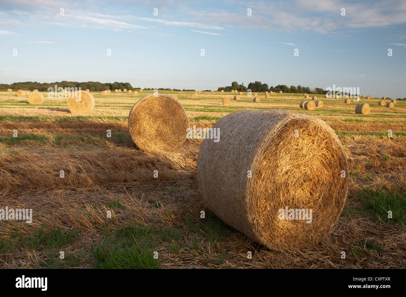 English countryside. Bales of hay scattered in a field on a sunny ...