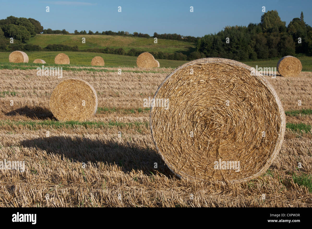 Bales hay scattered in fields hi-res stock photography and images - Alamy