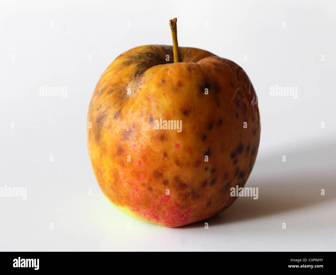 spoiled one bad red apple on white background Stock Photo - Alamy