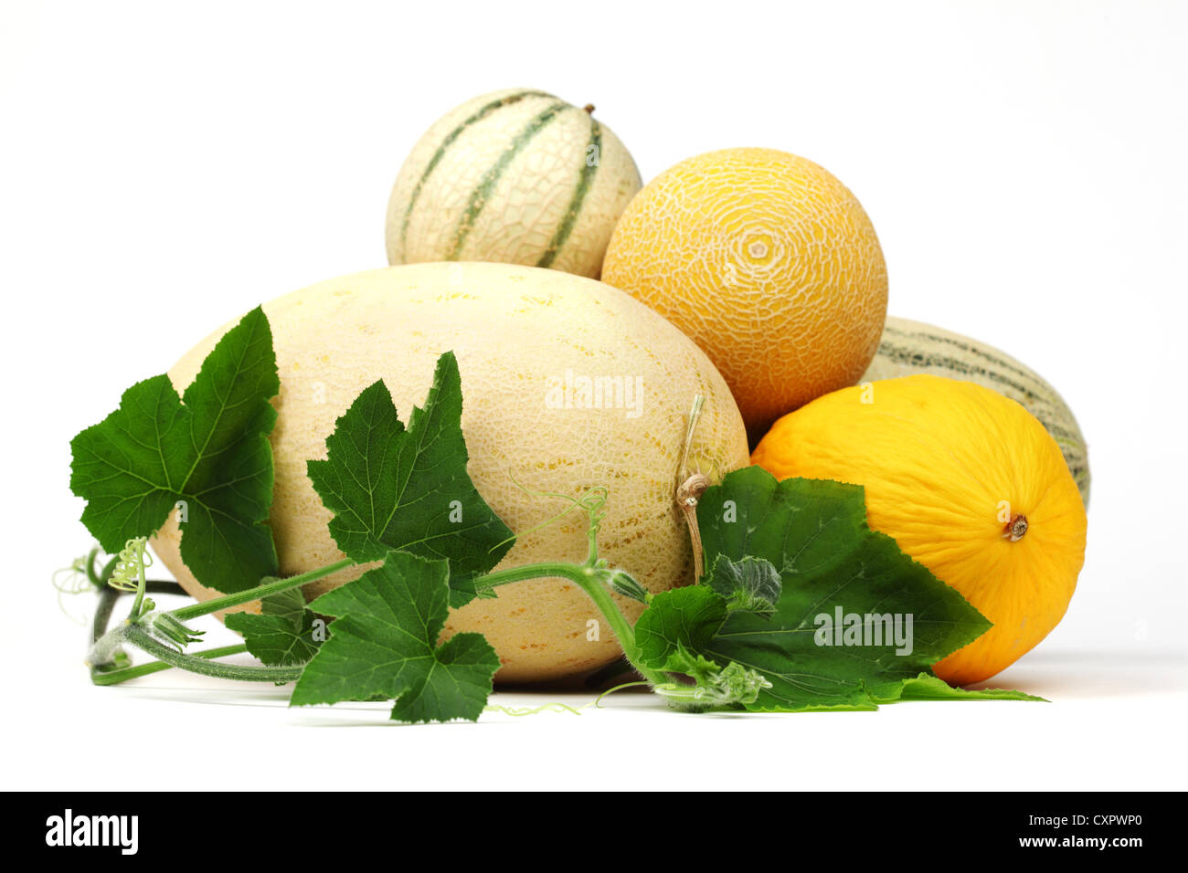 different melon isolated on white Stock Photo - Alamy