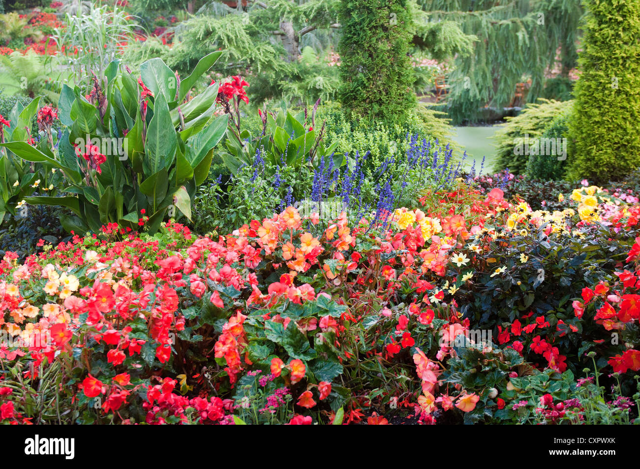 Flor & fjaere hi-res stock photography and images - Alamy