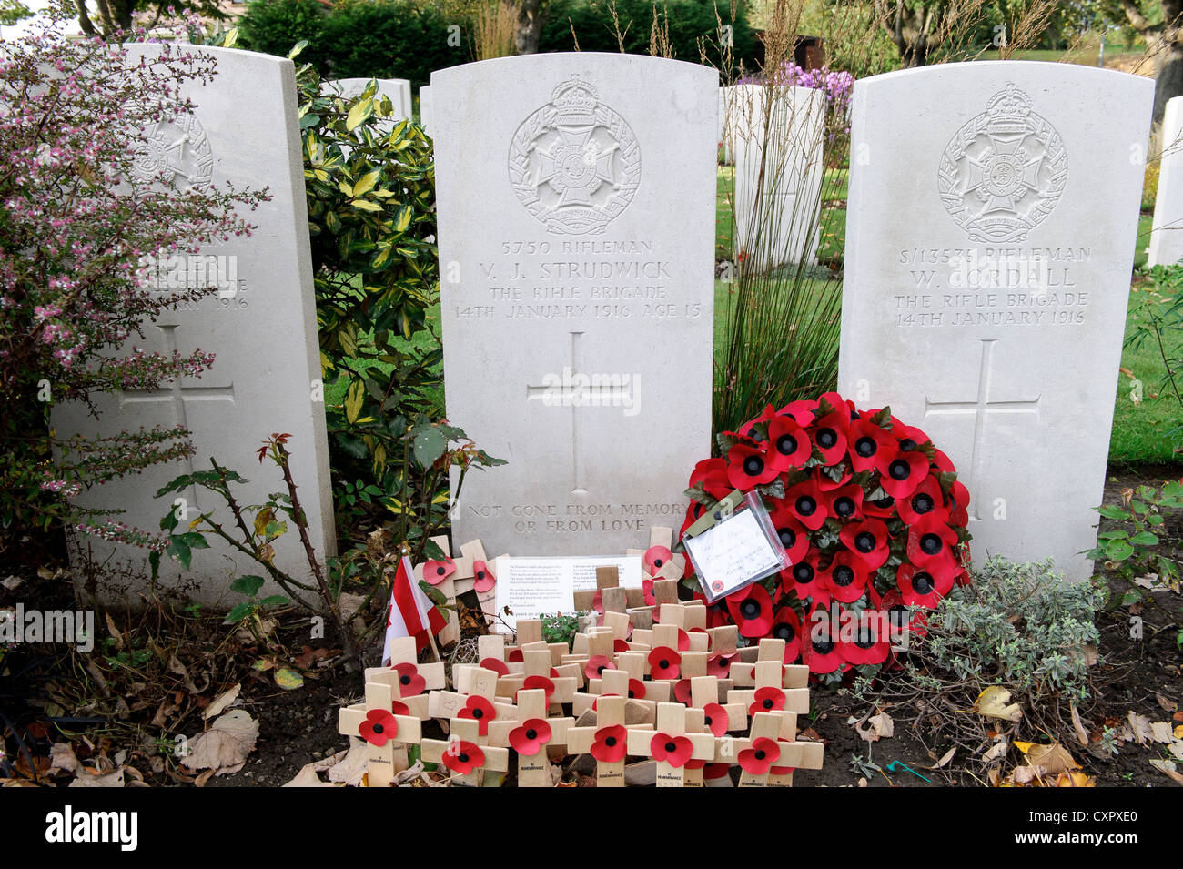 Ww1 great war rifle hi-res stock photography and images - Alamy