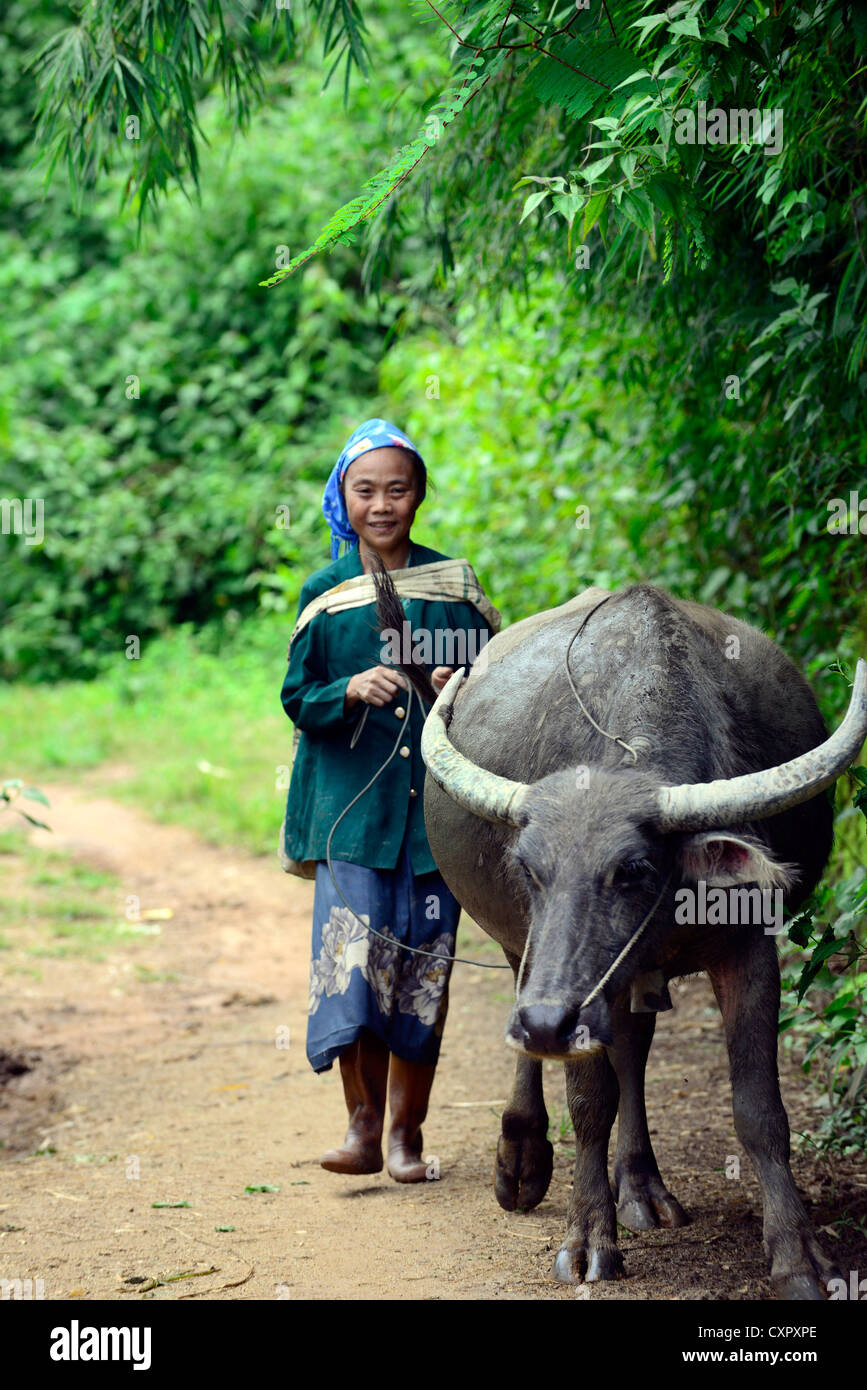 Everyday scene in rural eastern Myanmar Stock Photo - Alamy