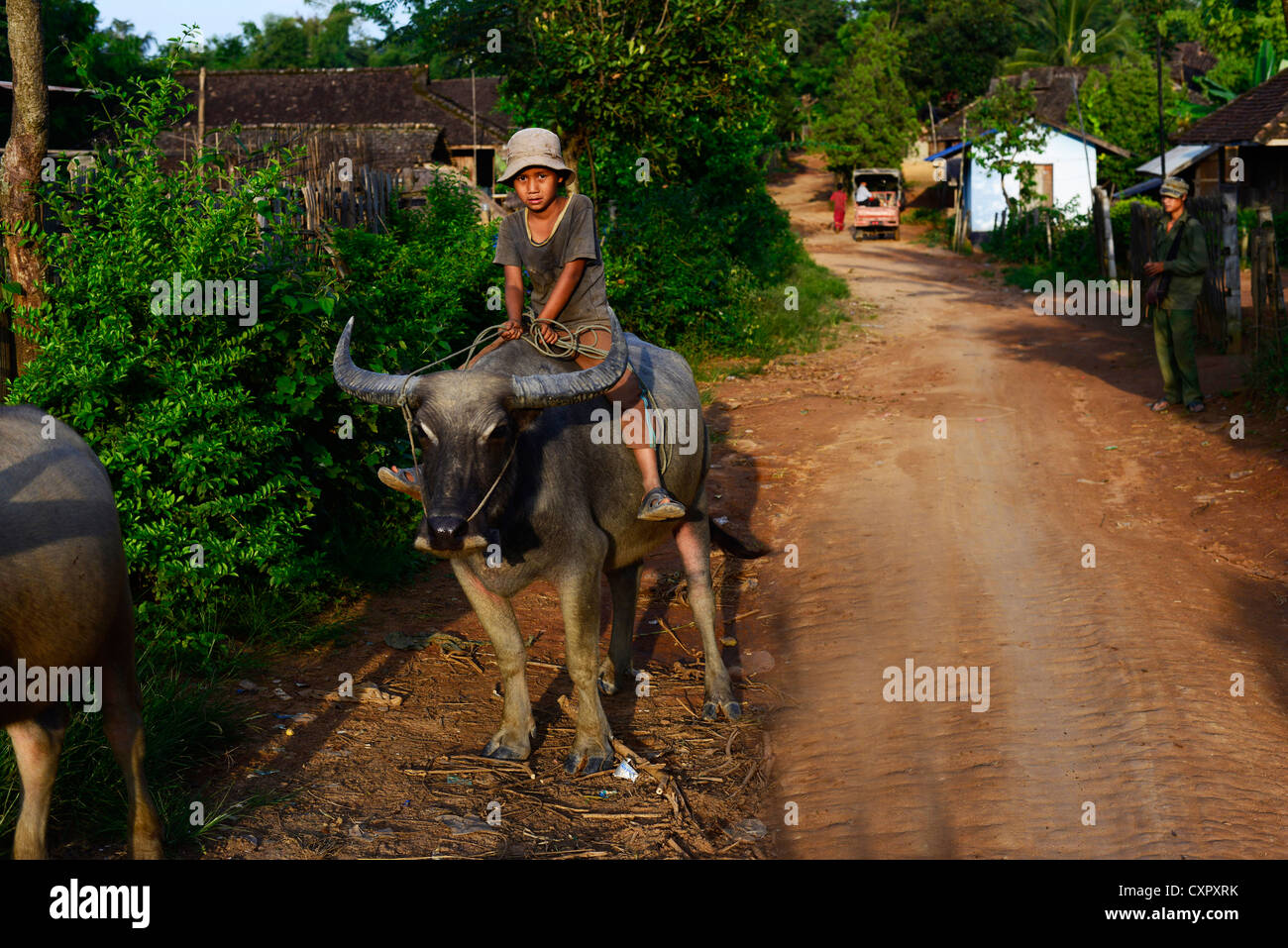 Everyday scene in rural eastern Myanmar Stock Photo - Alamy