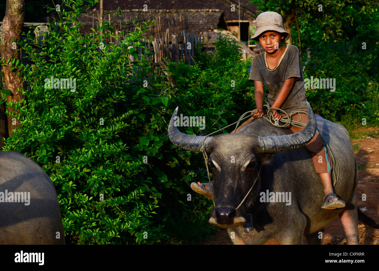 Everyday scene in rural eastern Myanmar Stock Photo - Alamy