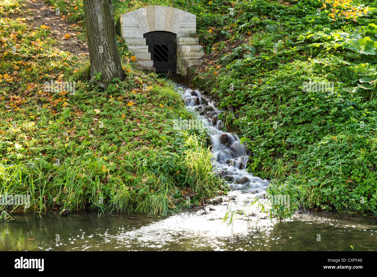 small source of spring water in the park Stock Photo - Alamy