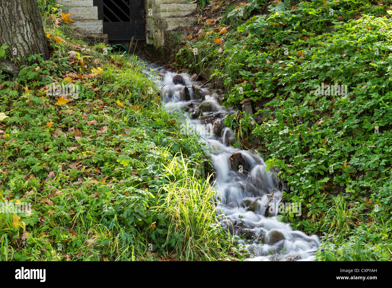 small source of spring water in the park Stock Photo - Alamy