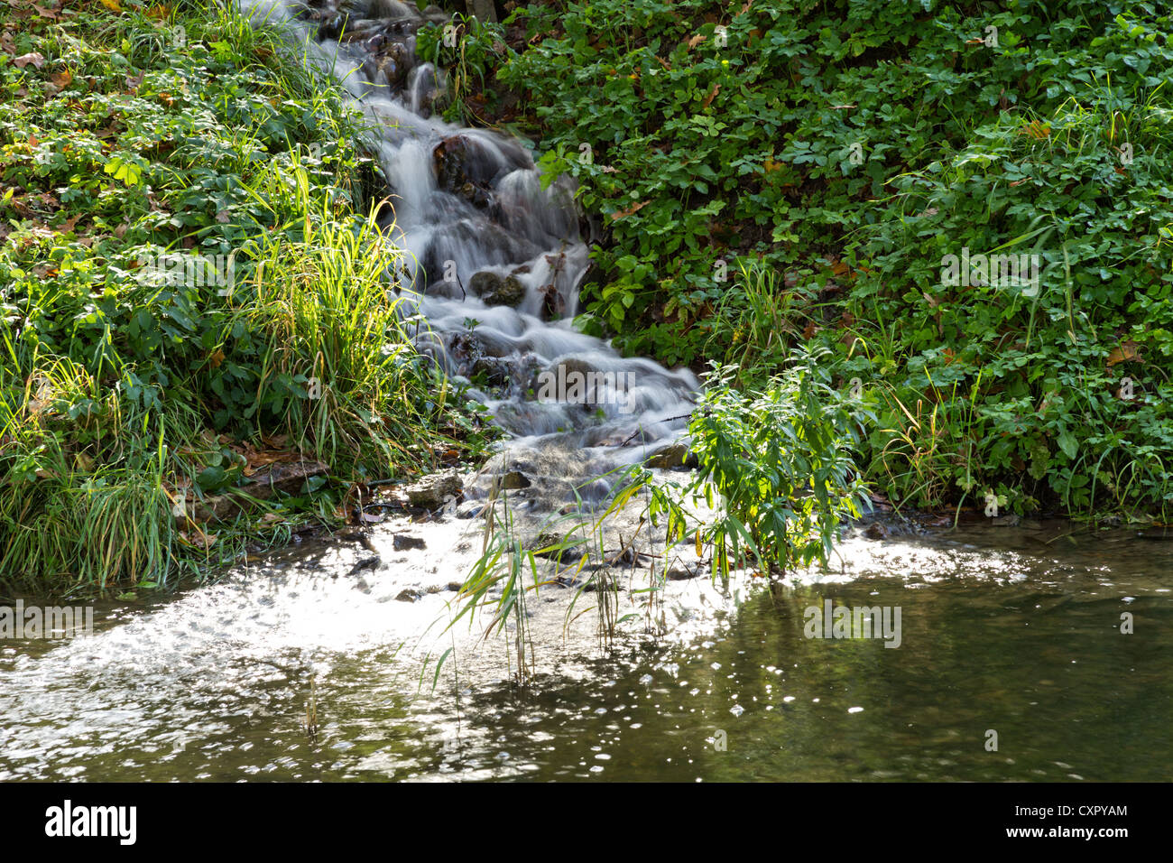 small source of spring water in the park Stock Photo - Alamy
