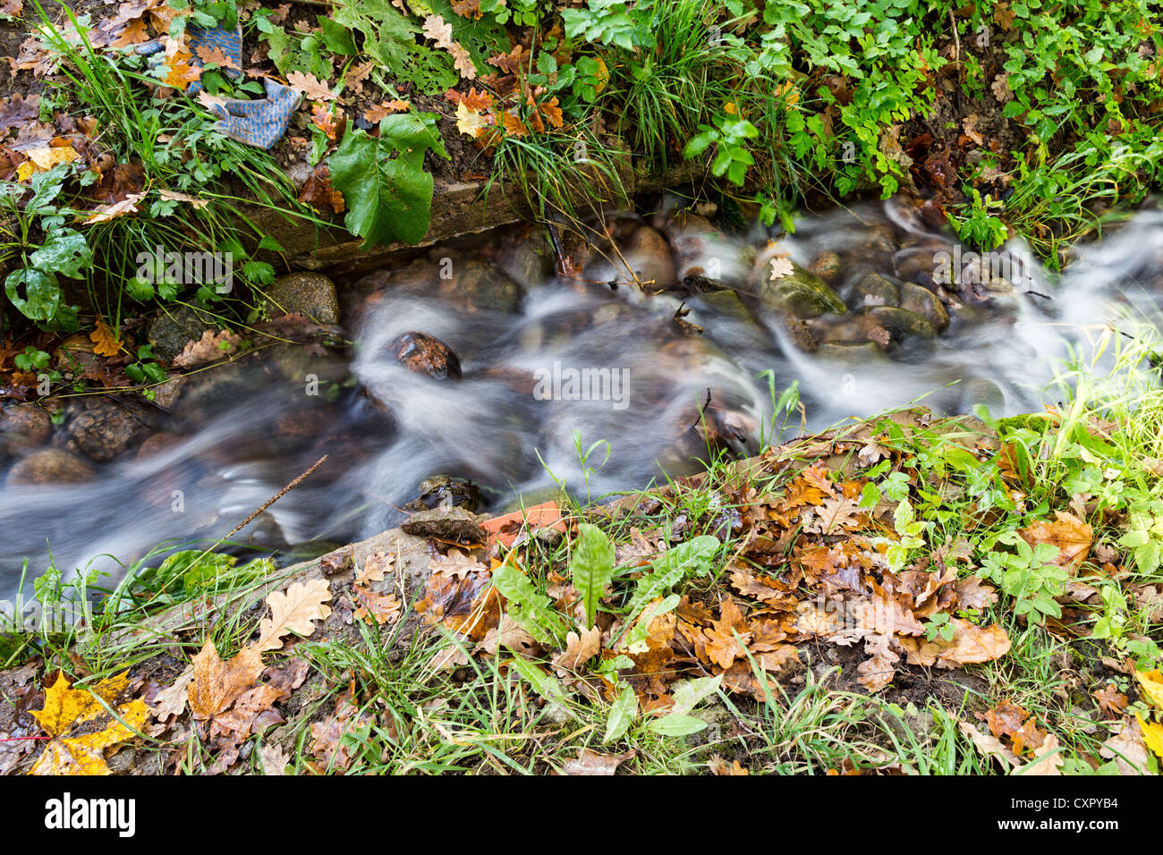 small source of spring water in the park Stock Photo - Alamy