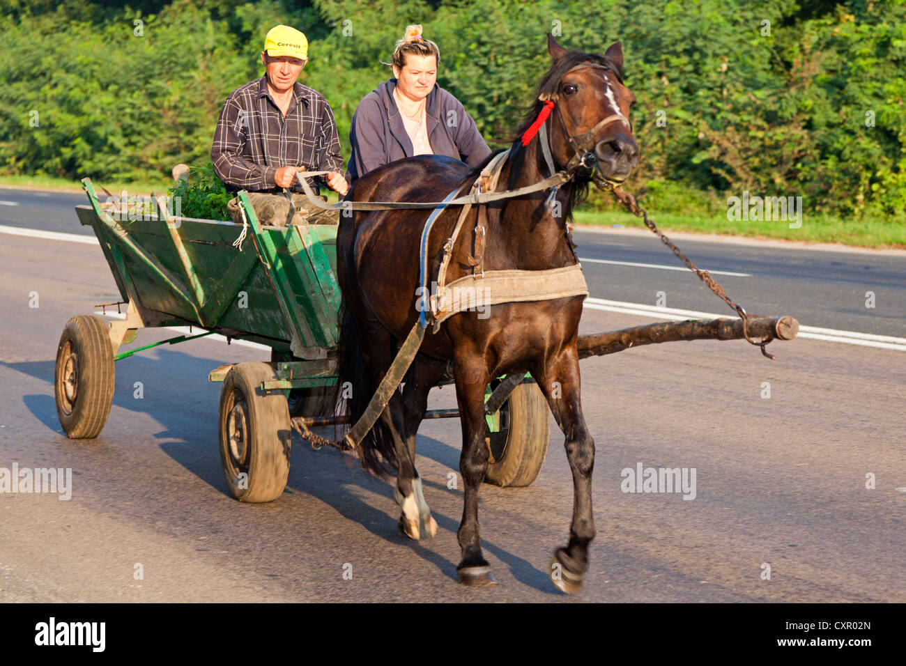Woman and horse cart hi-res stock photography and images - Alamy