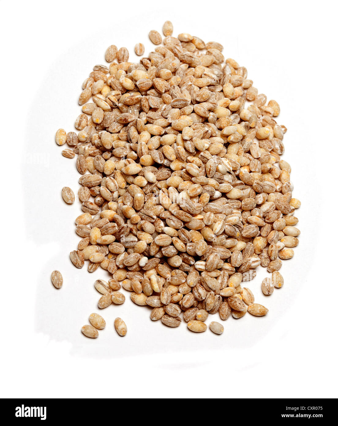 Barley detail Cut Out Stock Images & Pictures - Alamy