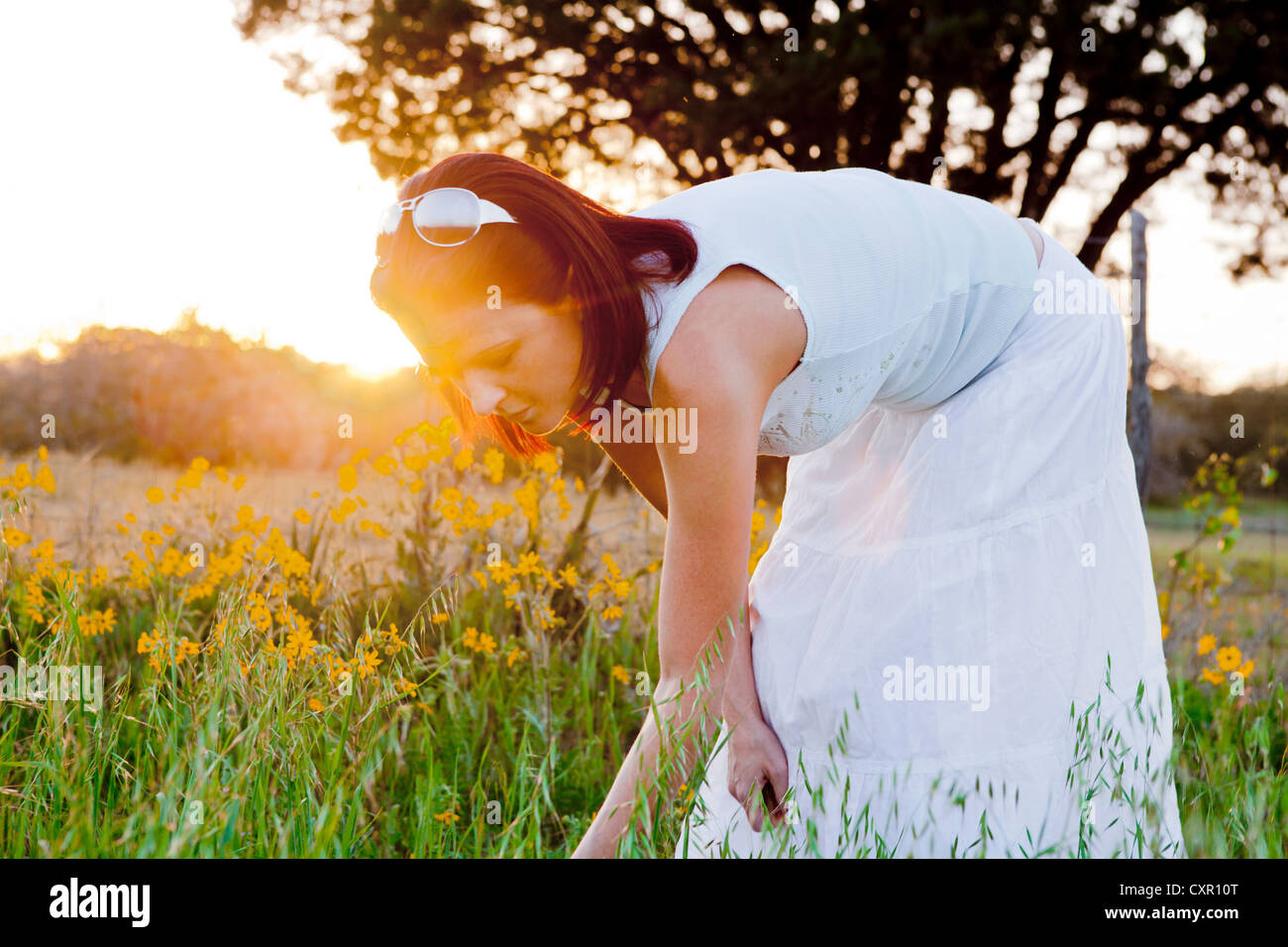 Woman picking flowers in field in sunlight Stock Photo - Alamy