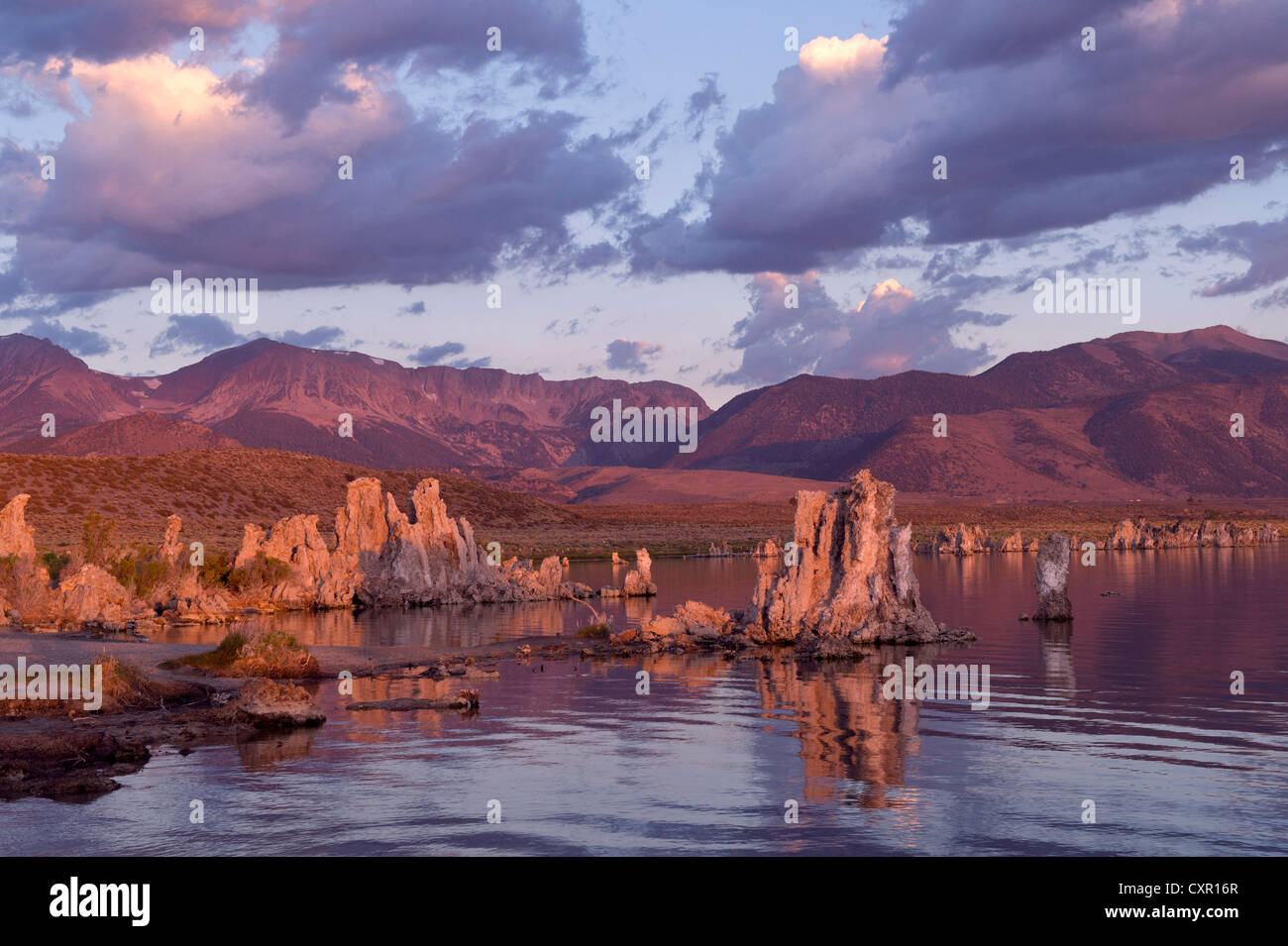 Tufa rock formation, mono lake, california, usa Stock Photo - Alamy