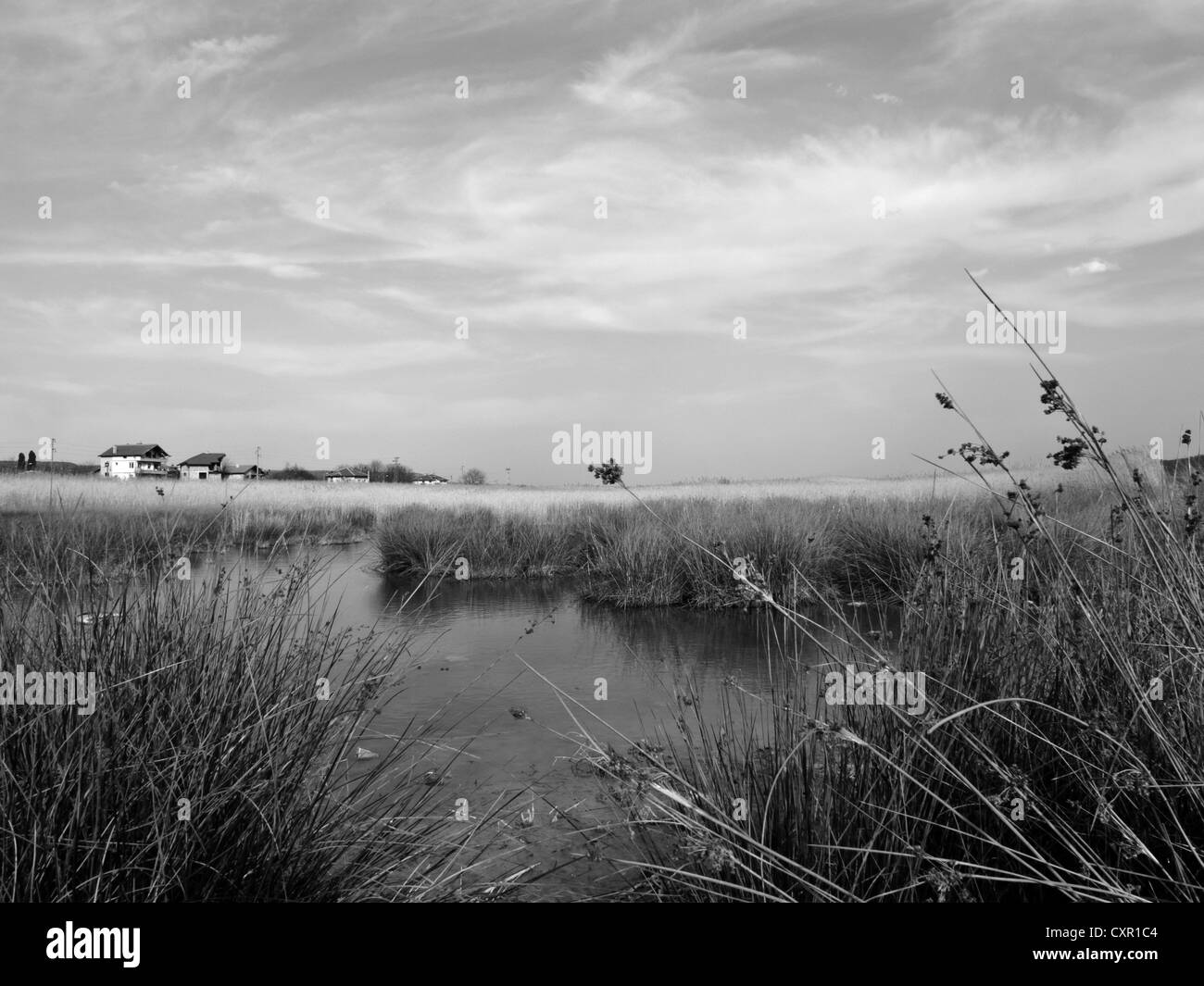 Pond landscape scene in Black and White Stock Photos & Images - Alamy