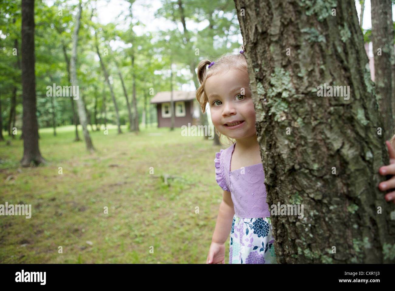Girl hiding behind tree Stock Photo - Alamy