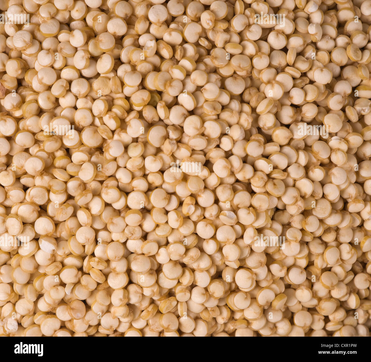 Quinoa Grain High Resolution Stock Photography and Images - Alamy