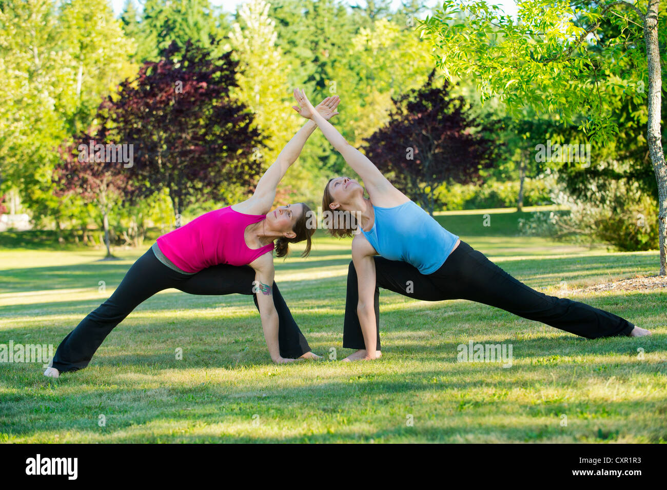 Two women practising yoga together in a park Stock Photo - Alamy