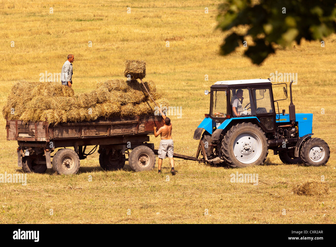 Ukraine agriculture tractor hi-res stock photography and images - Alamy