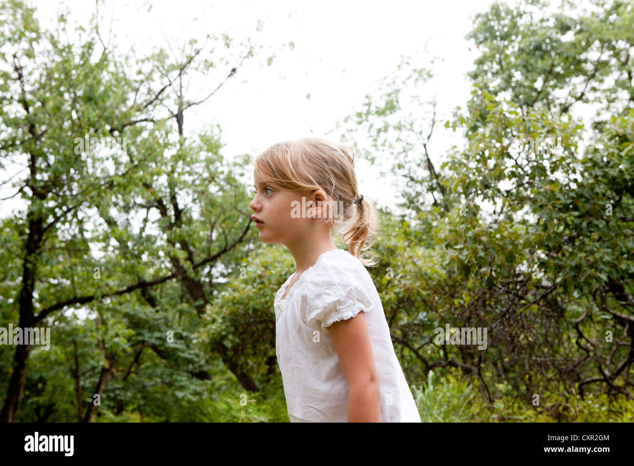 Amongst Trees High Resolution Stock Photography and Images - Alamy