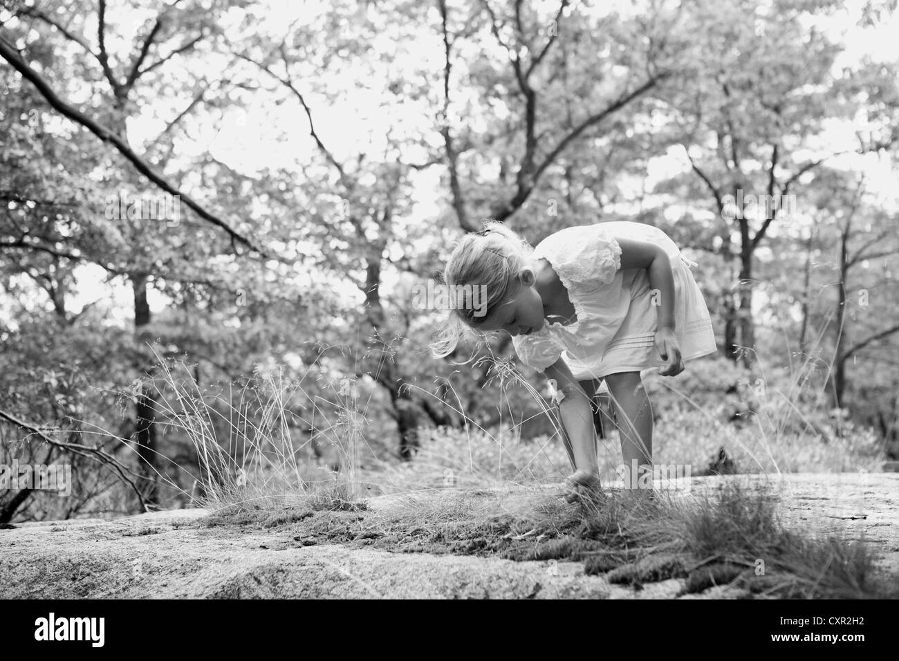 Little girl picking grass in the woods Stock Photo - Alamy