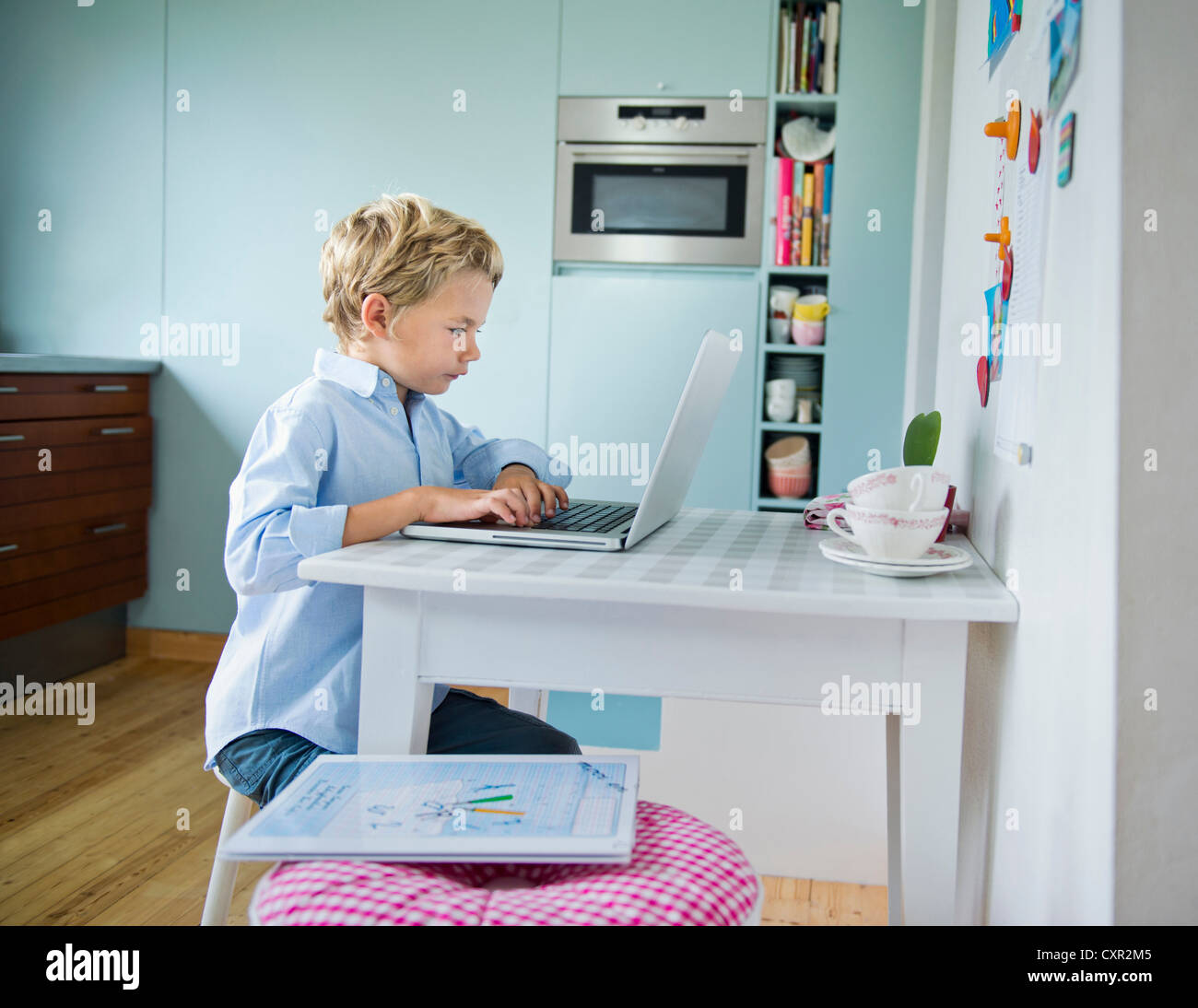 Boy using laptop for his homework Stock Photo - Alamy