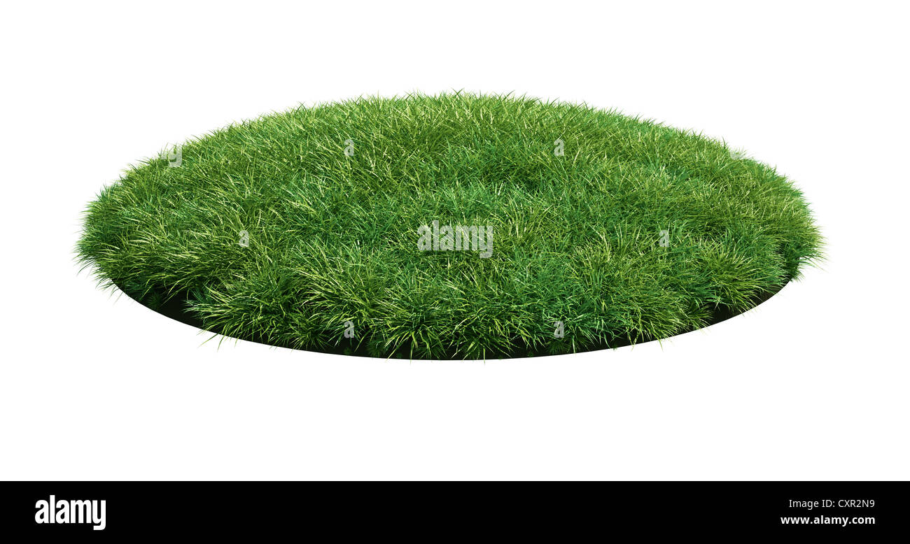 3d render of grass arena isolated on white background Stock Photo - Alamy