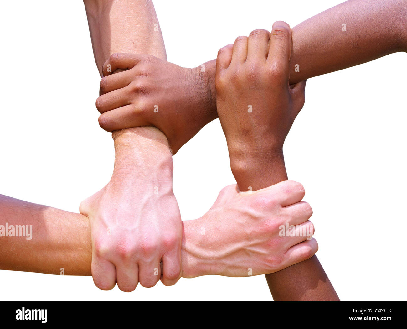 Linked hands on a white background symbolizing teamwork and friendship ...