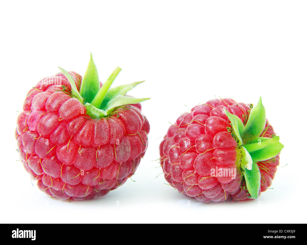 fresh raspberry closeup isolated on white background Stock Photo - Alamy