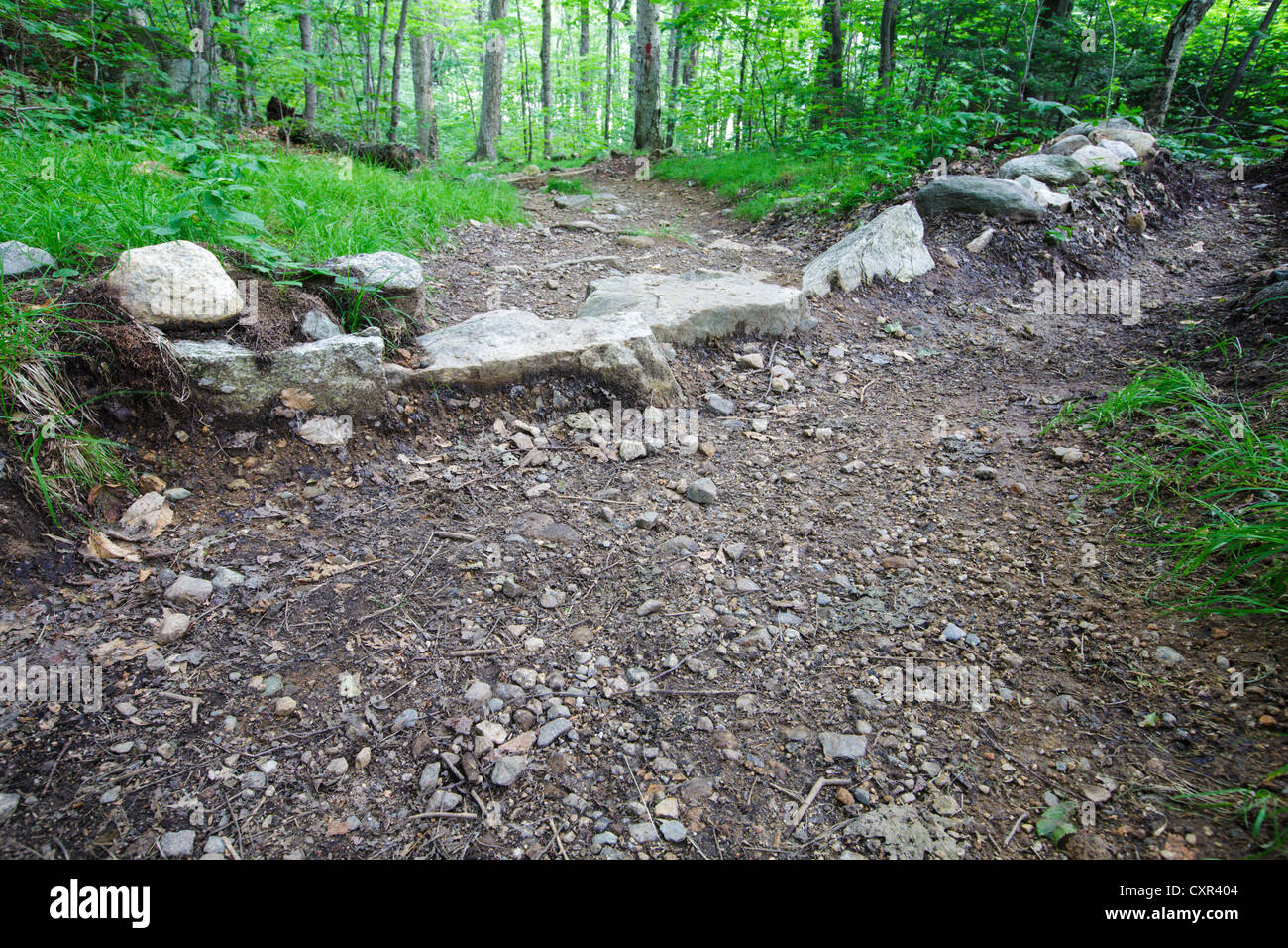Low impact waterbar along the Artist's Bluff Path in White Mountains ...