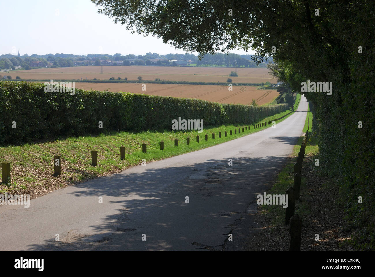 Highdown hedge hi-res stock photography and images - Alamy