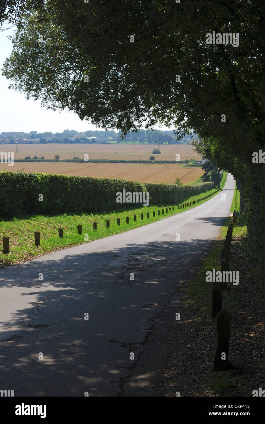 Highdown hedge hi-res stock photography and images - Alamy