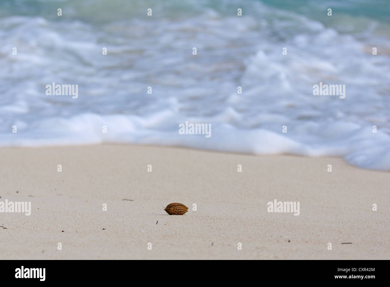 Crest surf hi-res stock photography and images - Alamy