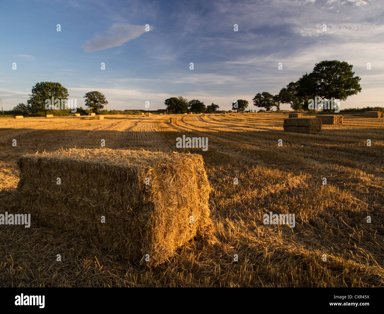Bails of straw hi-res stock photography and images - Alamy