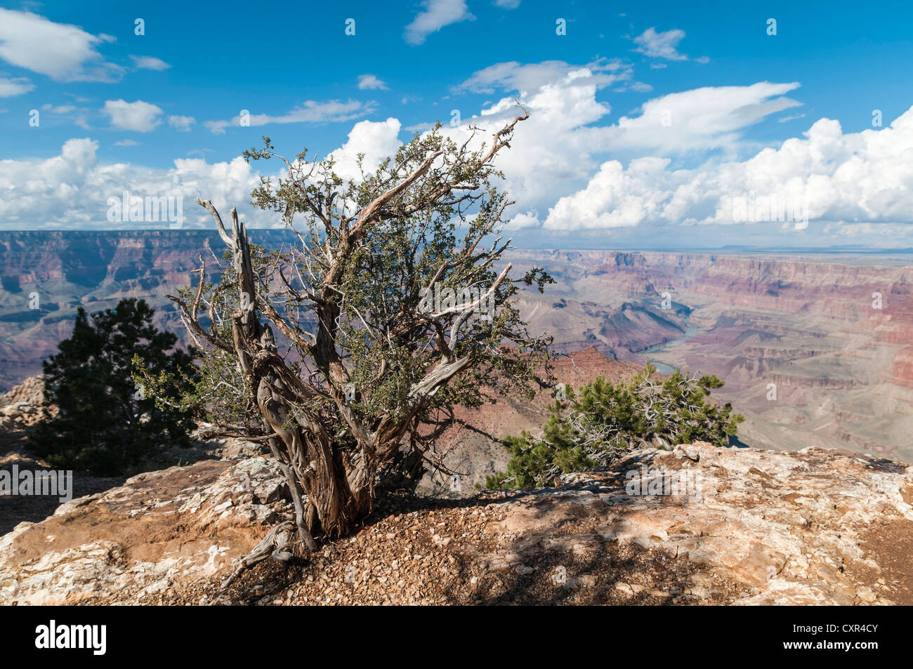 Tusayan hi-res stock photography and images - Alamy